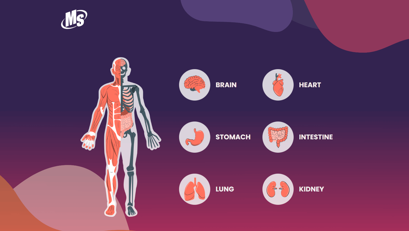 How to make Interactive Infographics? | Dot.vu